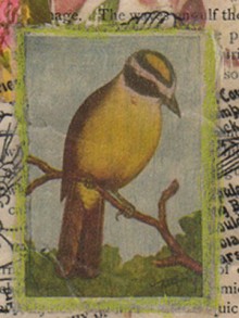 Bird Collage Art ~ Creatures of the Air - Karen's Whimsy