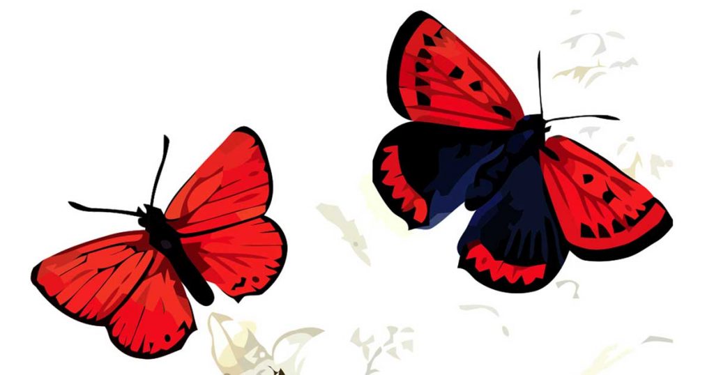 Butterfly Graphics - Karen's Whimsy