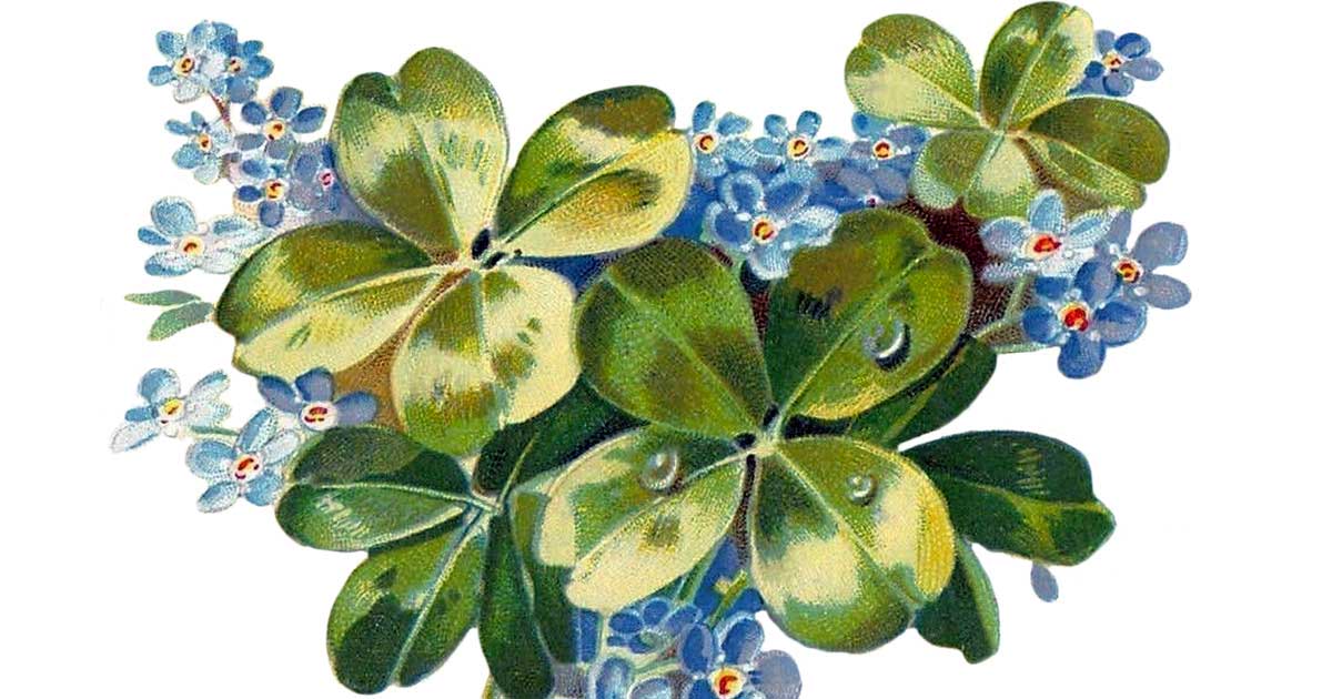 Shamrocks - Karen's Whimsy