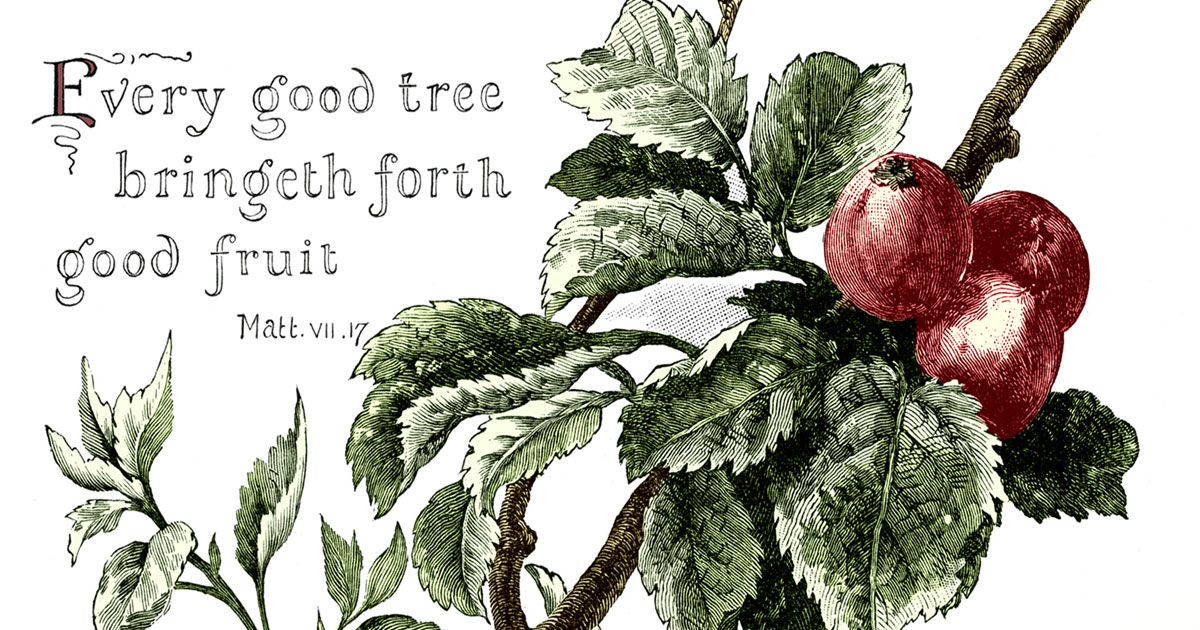 Bible Verses - Karen's Whimsy