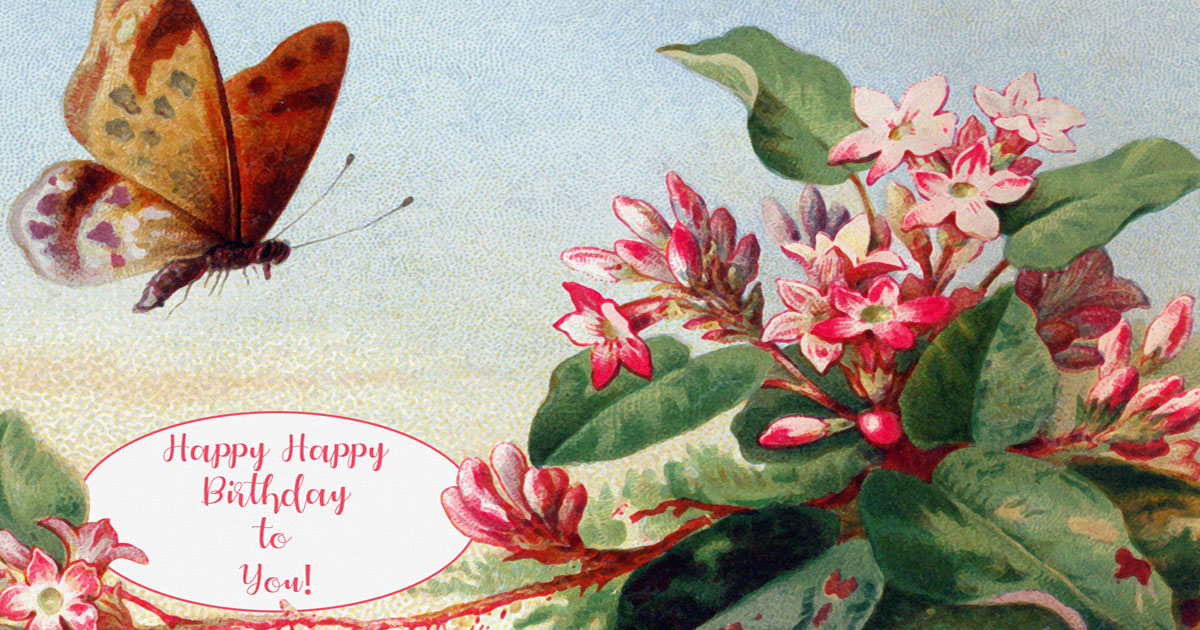 Birthday Cards - Karen's Whimsy