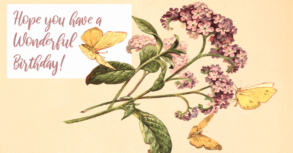 Free Printable Birthday Cards - Karen's Whimsy