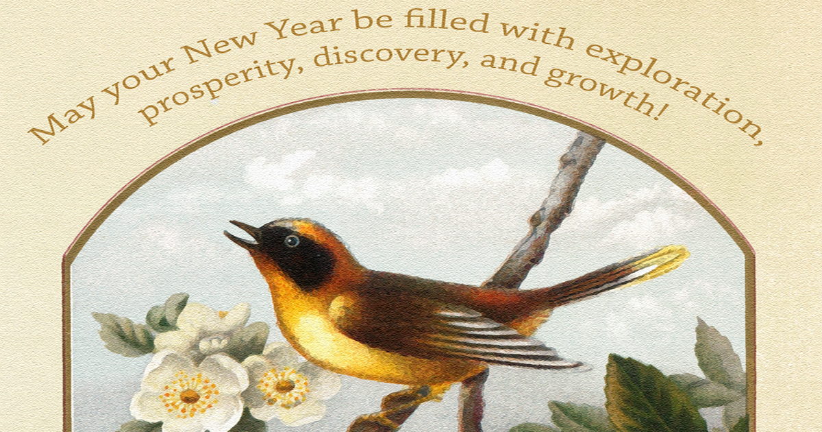 Happy New Year Messages - Karen's Whimsy