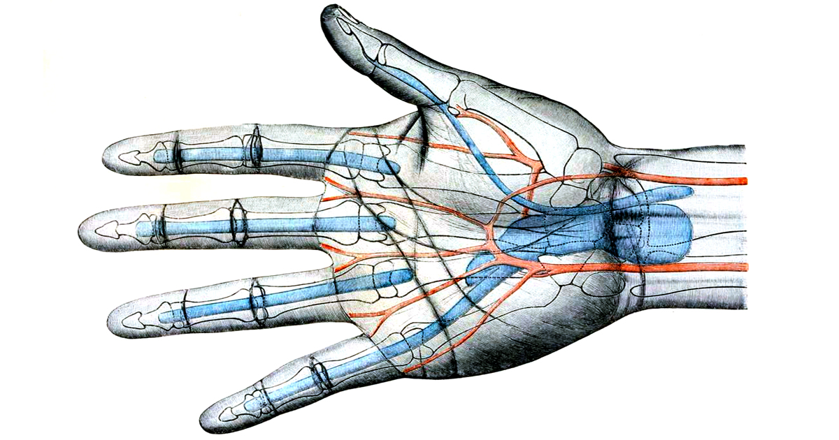 Hand Diagrams - Karen's Whimsy